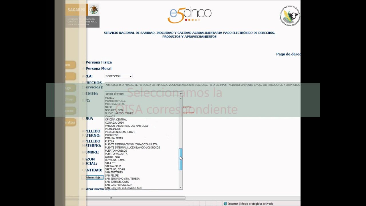 Pago de Certificado Zoosanitario en Formato e5cinco - YouTube