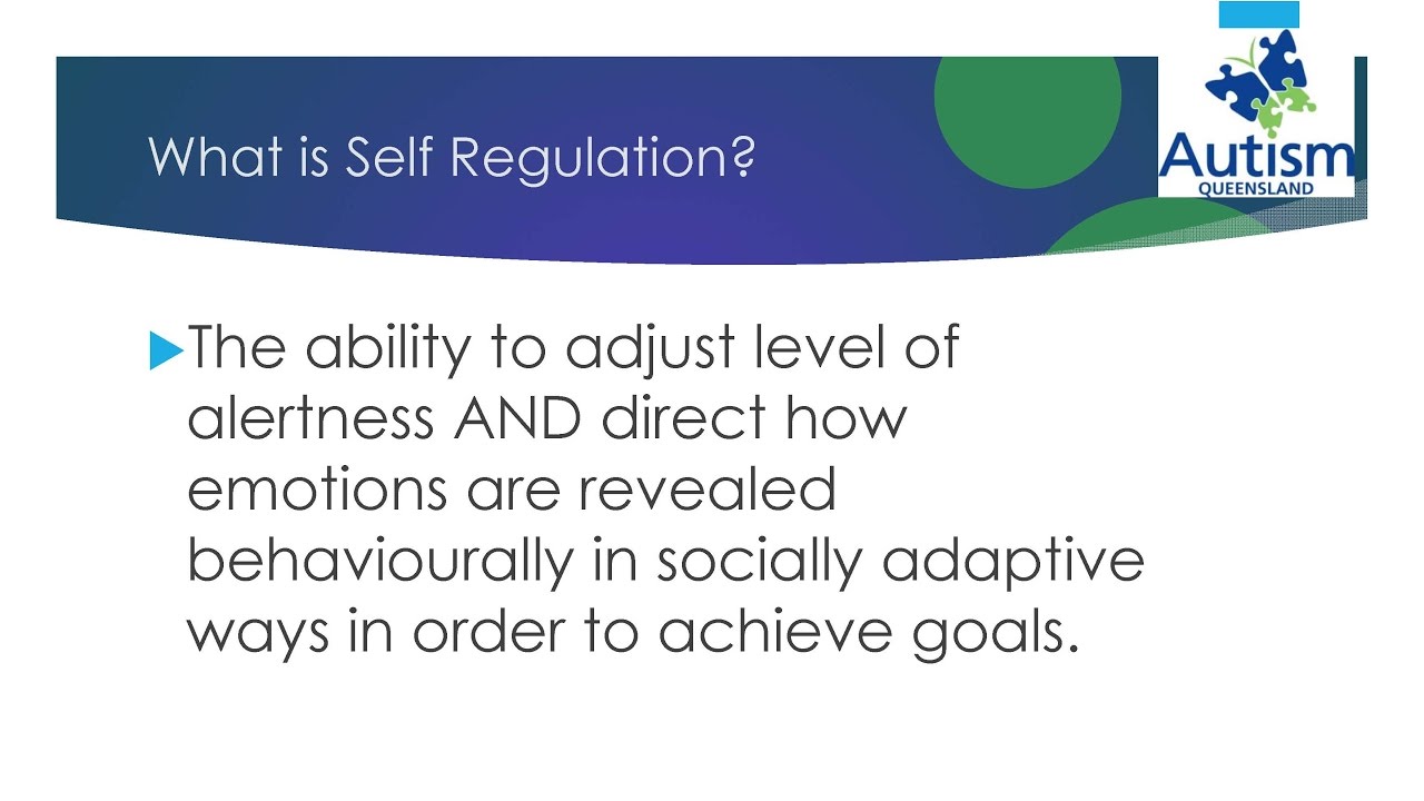 Self Regulation with Mahnee Guy from Autism Qld - YouTube