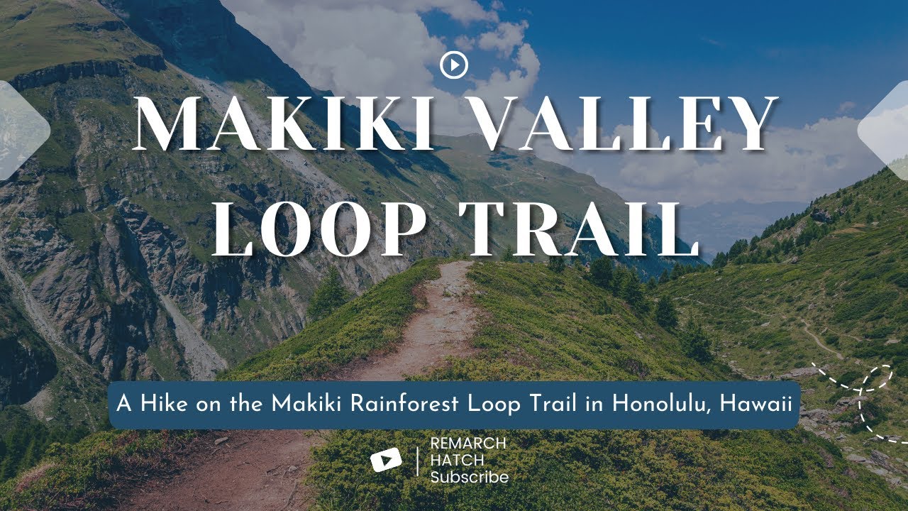 Makiki Valley Loop Trail: A Hike on the Makiki Rainforest Loop Trail in ...