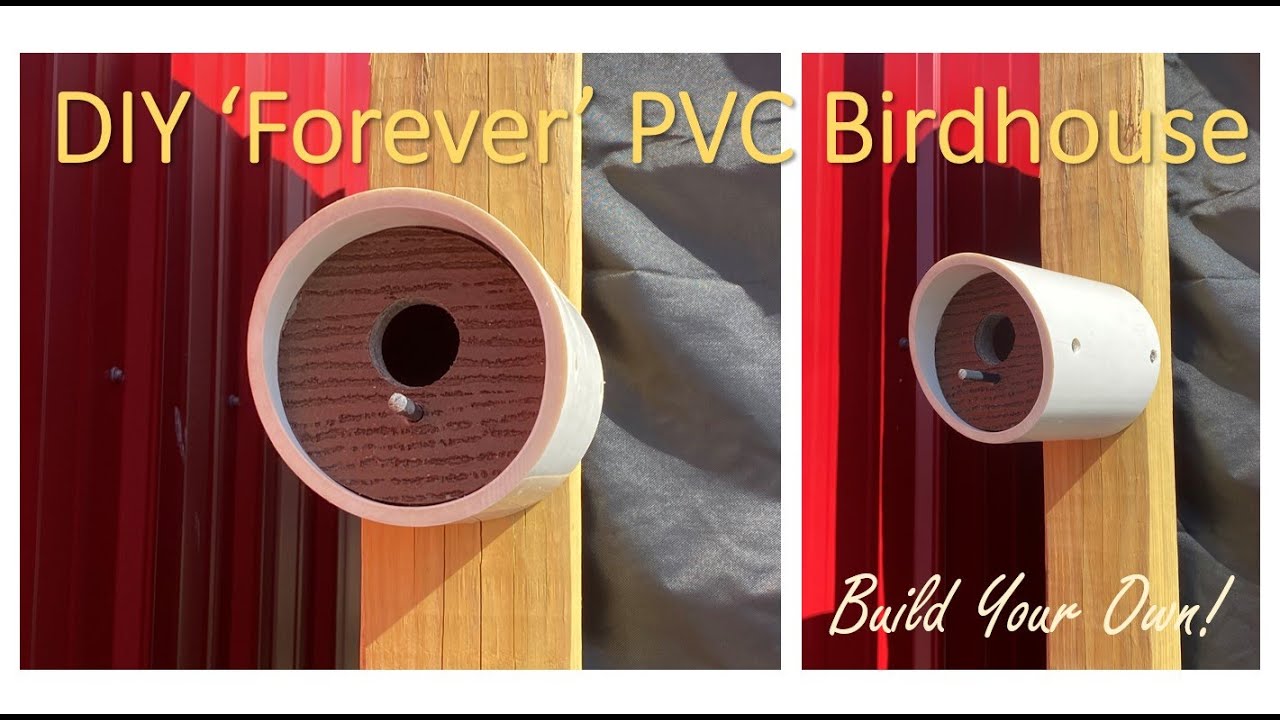 #216: DIY PVC Birdhouse Build - YouTube
