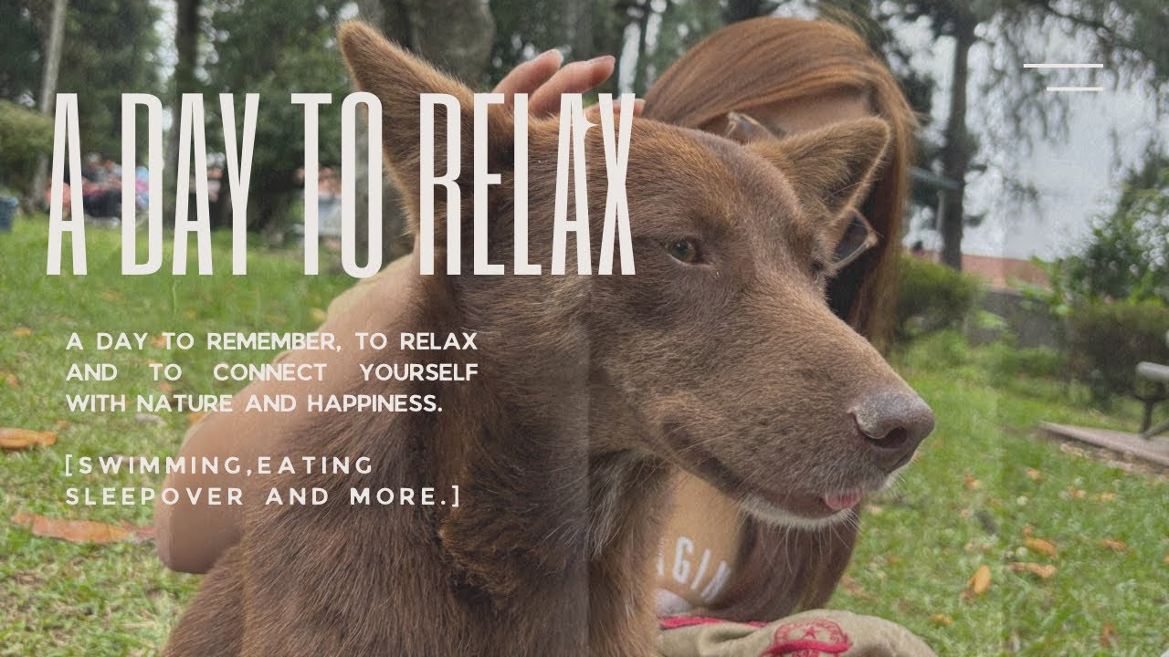 VLOG: swimming pool with friends| sleepover| - YouTube