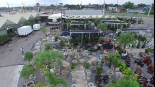 The Plant Gallery