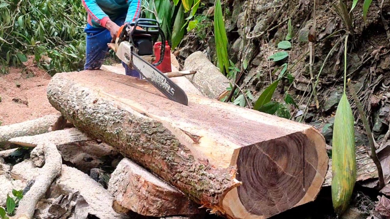 Keterampilan membelah kayu,membuat balok with chainsaw ms 382 - YouTube