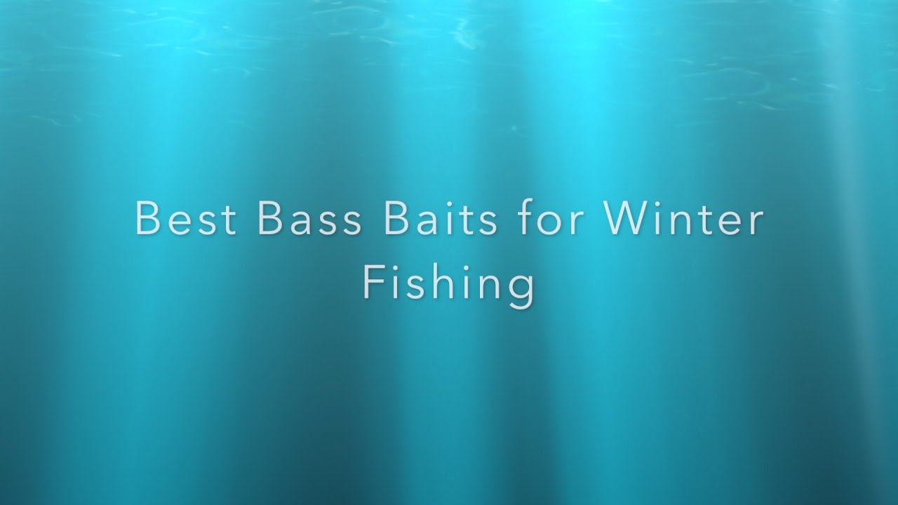 Best Bass Baits For Winter Youtube
