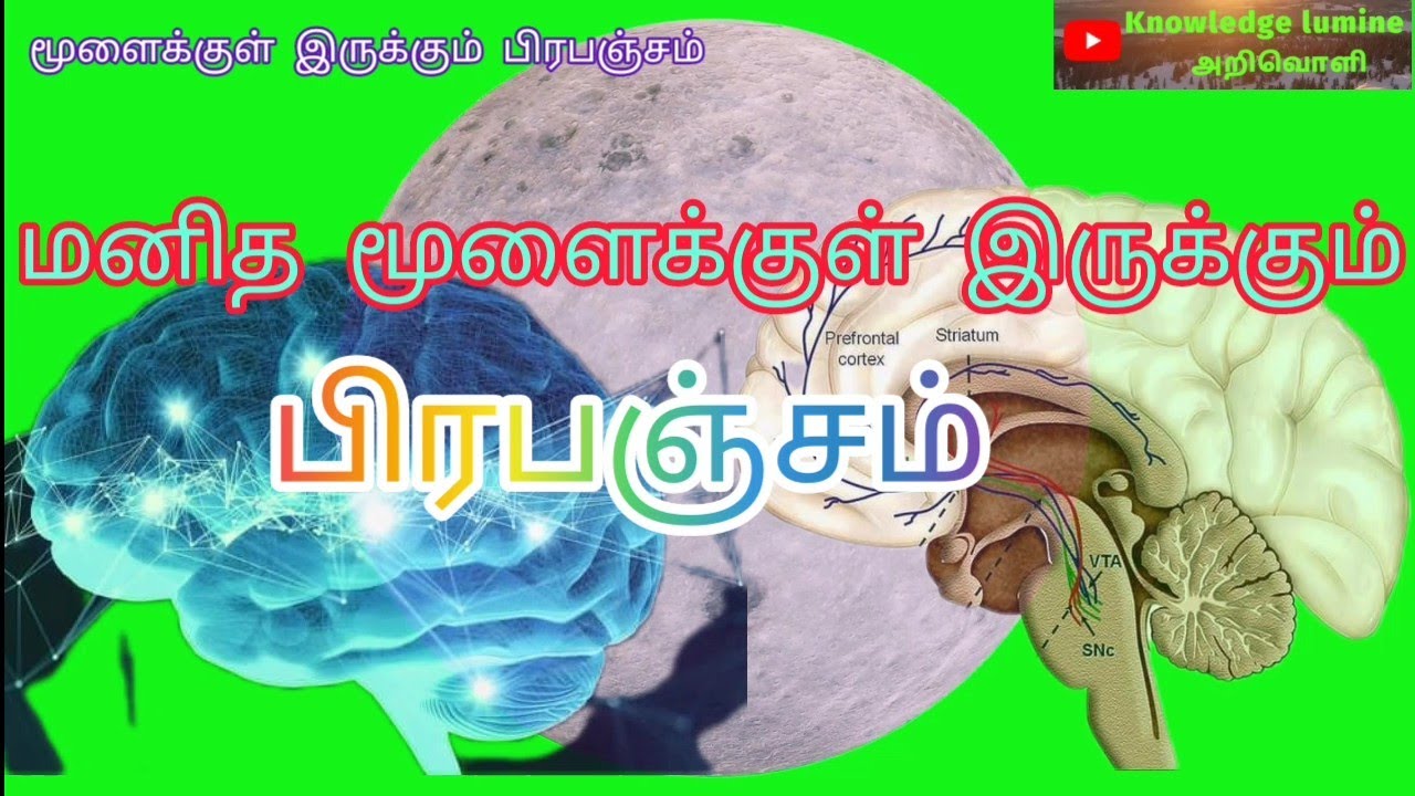 மனித மூளையின் உள்ளே இருக்கும் பிரபஞ்சம் galaxy of the human brain - YouTube