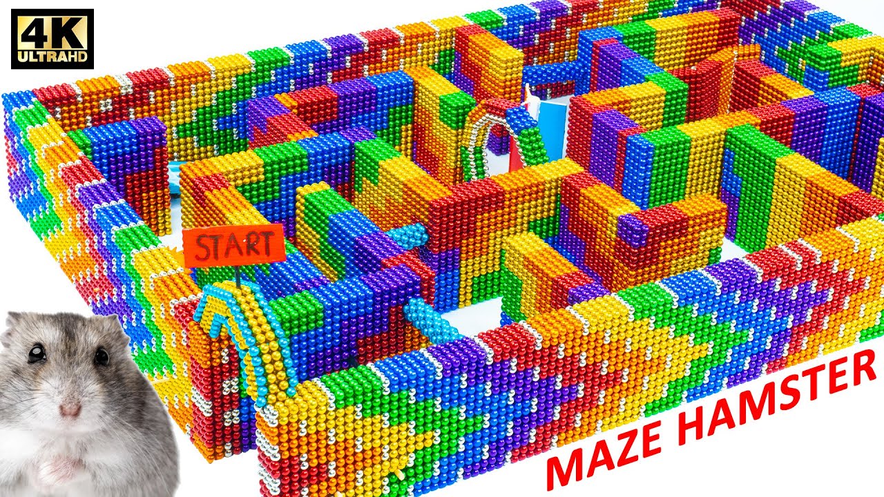 DIY - Build an amazing pet hamster maze with magnetic balls - YouTube