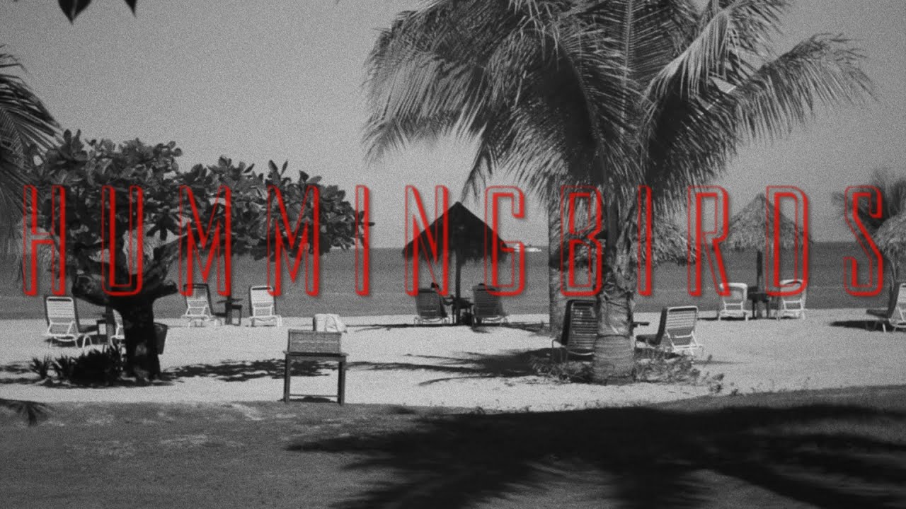 "HUMMINGBIRDS" VENUS HUM // BEST REMODELED - YouTube