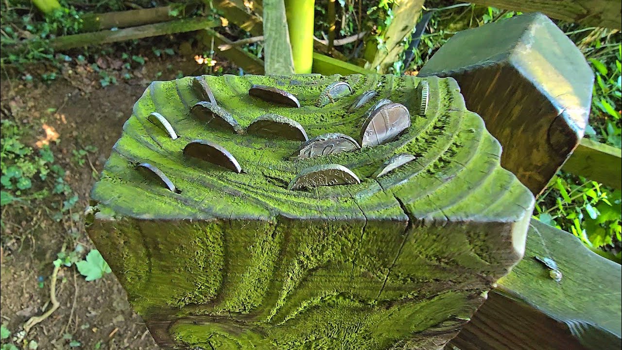 Walking the Western Edge of Badby Wood, to St Mary's Church in Badby ...