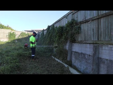 Vacant Block Slashing |City Council Fine Prevention |Description # ...