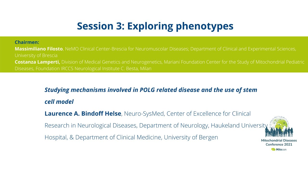 Studying mechanisms involved in POLG related disease and the use of ...