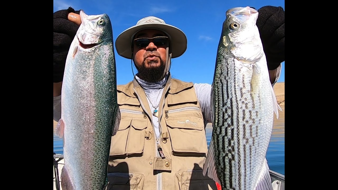 NO STRESS STROUT ! Stripers & Trout Fishing Striped Bass Los Vaqueros ...