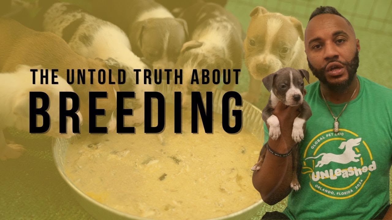The Untold Truth About Breeding: How to Build Wealth From Breeding Dogs ...