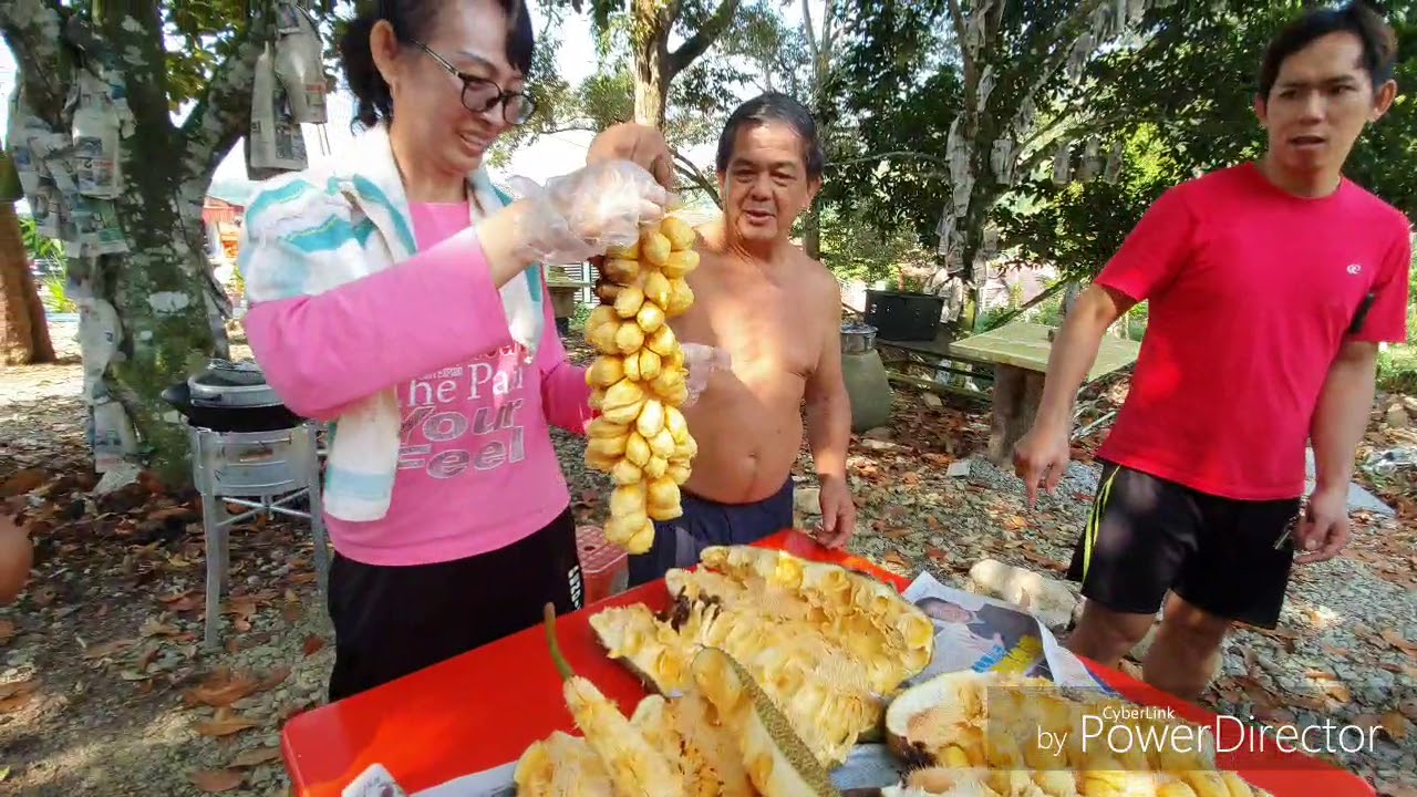 P31 "Kampung saya liman Kati " by Shaw Yew Ching - YouTube