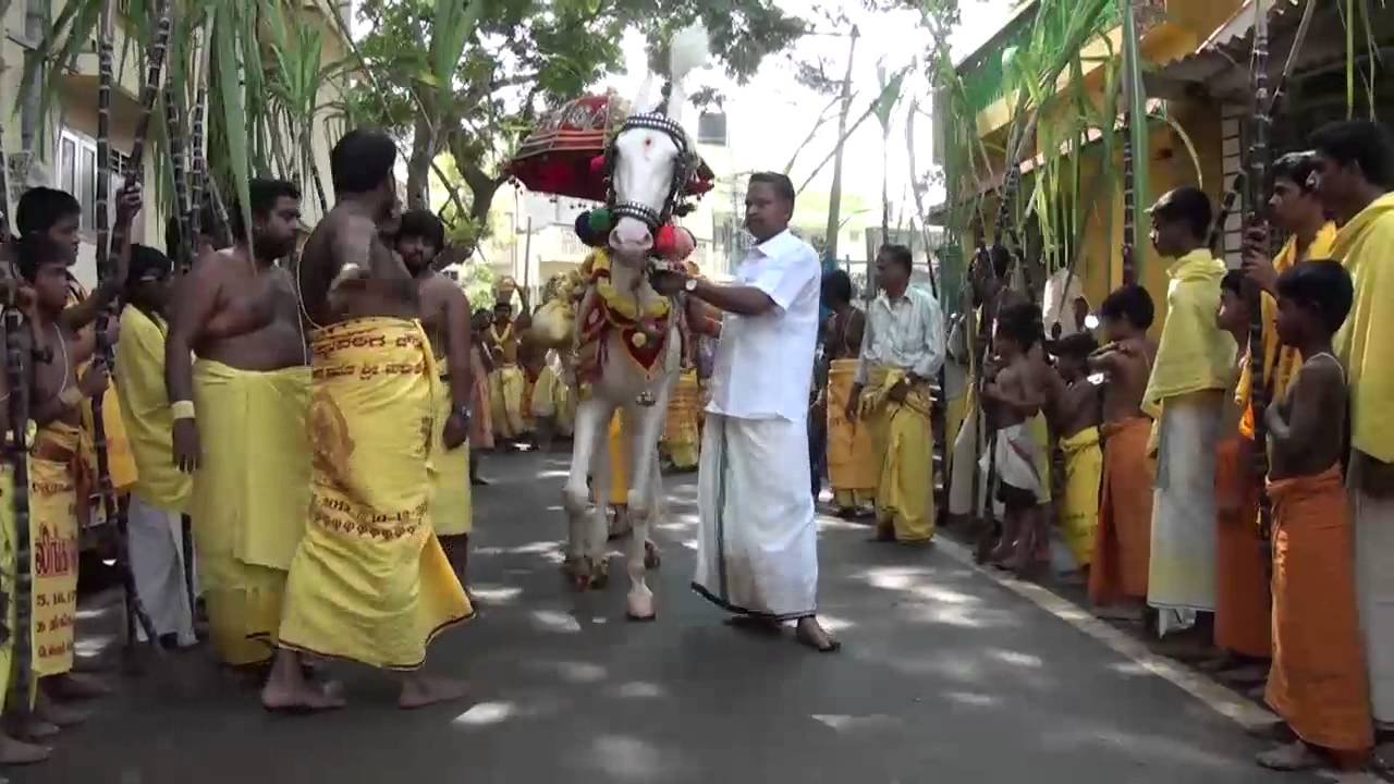 PANDARAM KATTUDHAL - YouTube