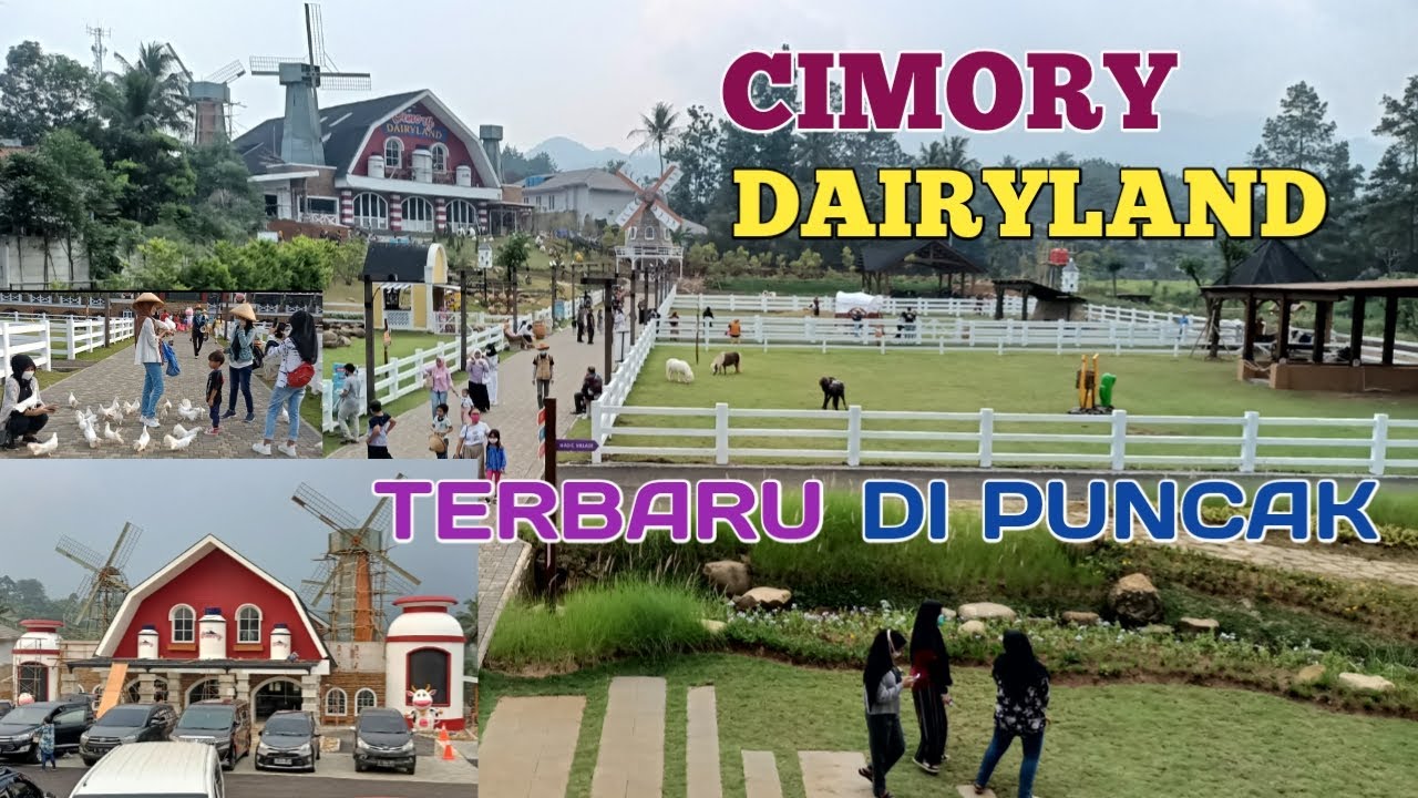 CIMORY DAIRYLAND PUNCAK Hits dan Viral - YouTube