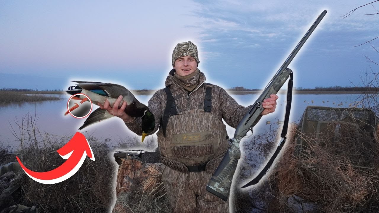 DUCK Hunting LOADED Arkansas Fields (Banded Mallard) - YouTube