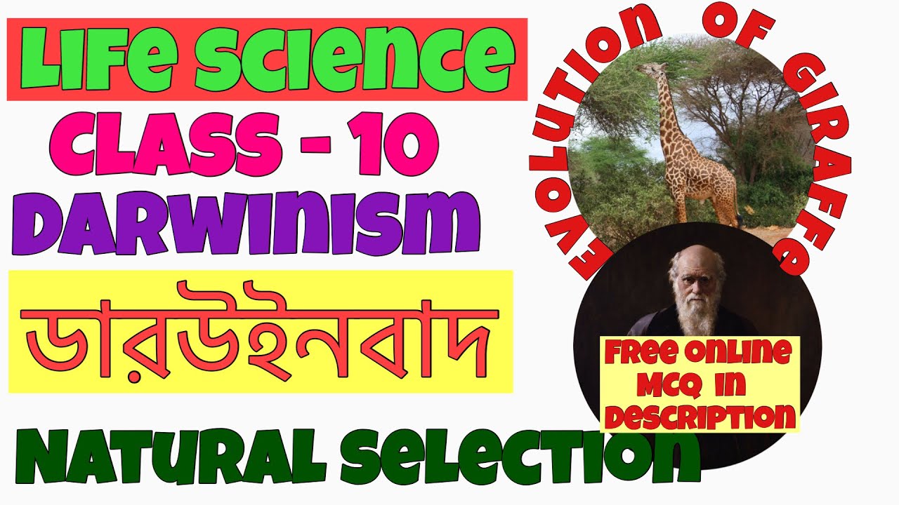 WBBSE CLASS 10 LIFE SCIENCE DARWINISM YouTube wbbse-class-10-life-science-darwinism-youtube