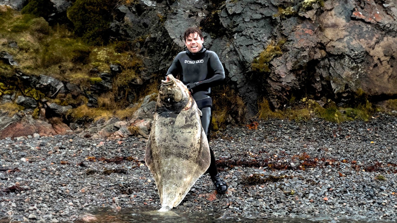 2 day strike mission to Arctic Norway for big halibut - YouTube