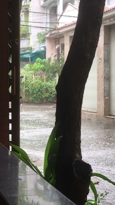 #shorts mưa giữa buổi trưa | dung an suong | dung an suong travel - YouTube