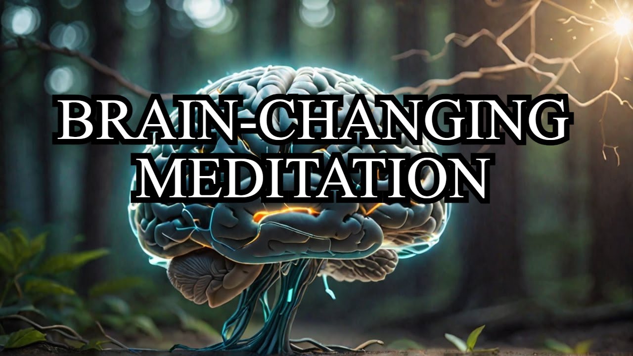 Meditation Rewires Your Brain The Mind Blowing Science Behind It - YouTube