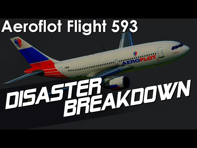 Aeroflot Flight 593 Wikipedia Remember That One Time Donald Trump