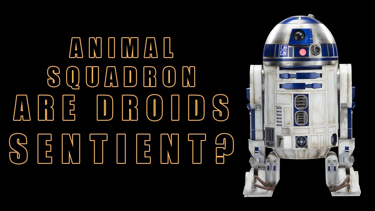 Ep. 100 Are Star Wars Droids Sentient? W/@TheSuitedBird - YouTube