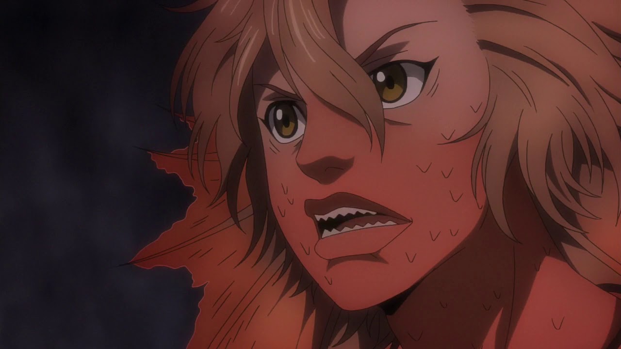 Fish Transformations - YouTube