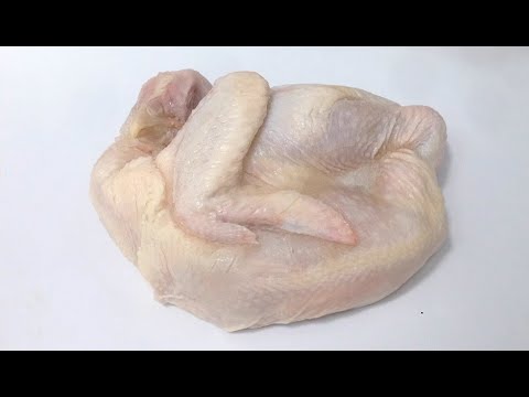 Chicken Timelapse- Decomposition - YouTube