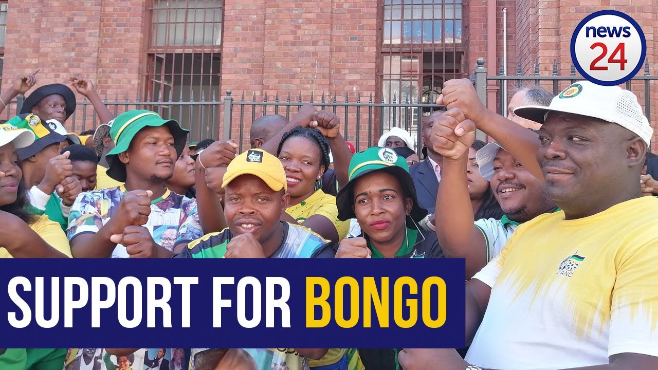 WATCH | ANC members vow to go to 'any court' in support of Bongani ...