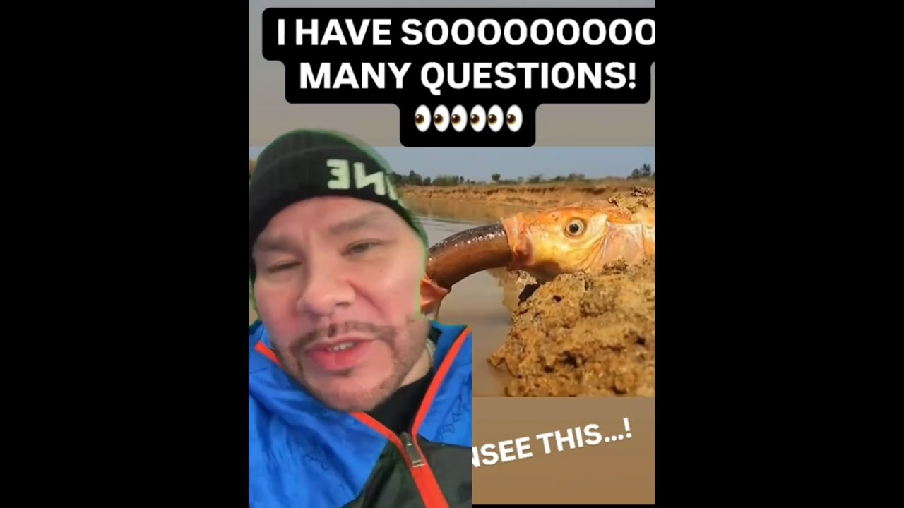 National Talk Like Shakespeare Day Pause Edition - YouTube