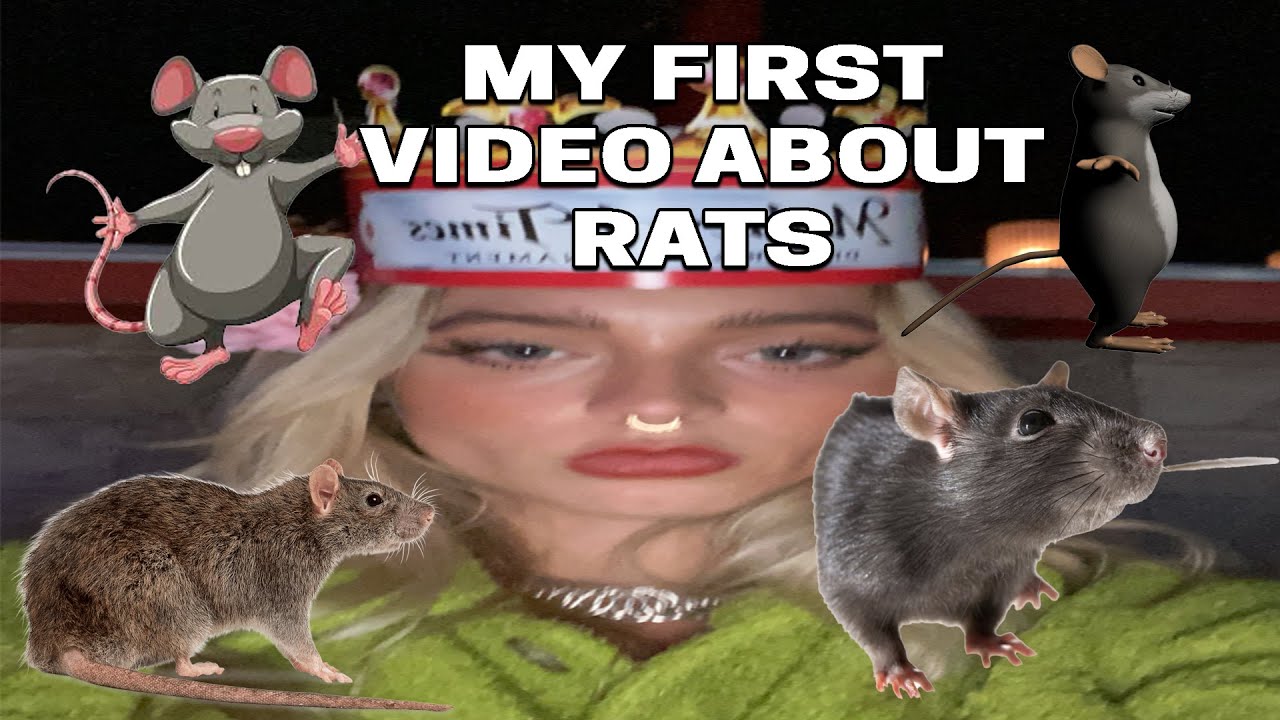My First Video About Rats!!! - YouTube
