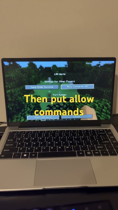 How to get commands in a Mc preview (Java) - YouTube