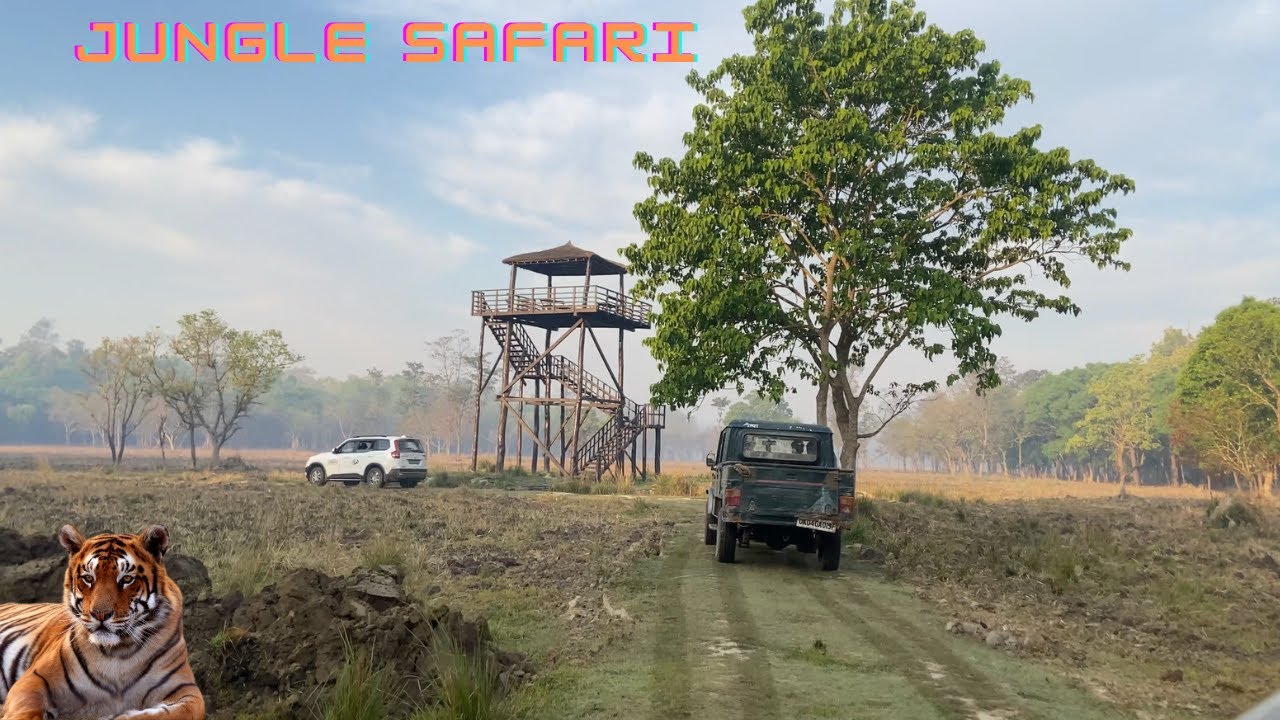 Surai Jungle safari II Tiger spotted 🐅II khatima II uttarakhand - YouTube