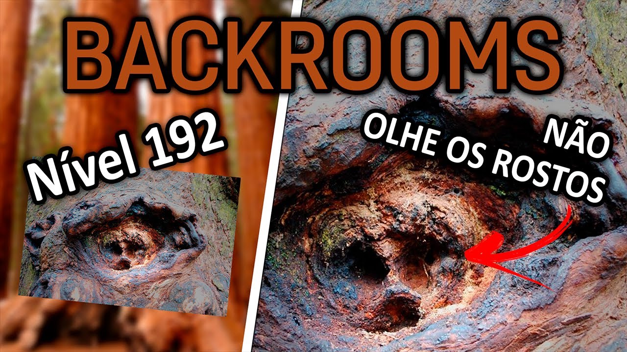Nível 192 - Pareidolia - Backrooms Explicado - YouTube