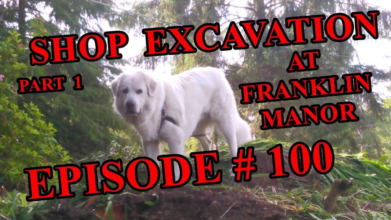 The Frank Files: MY "100th VIDEO" ON YouTube SHOP EXCAVATION AT ...