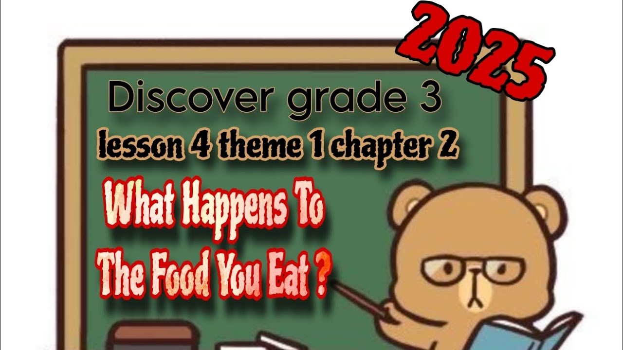 discover grade 3 first term 2025 | lesson 4 theme 1 chapter 2 | what happens to the food you eat ...