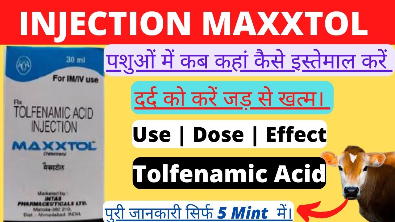 Tolfenamic acid injection | tolfenamic acid 40% injection | maxxtol ...
