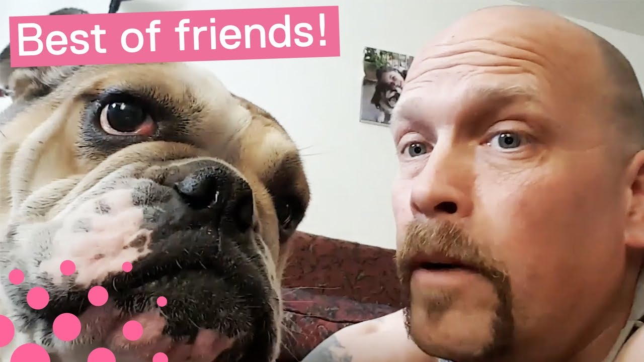 This Man and Bulldog Have the Cutest Friendship Ever - YouTube
