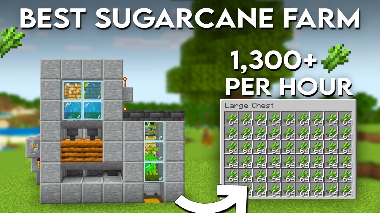Minecraft BEST Sugarcane Farm Bedrock 1.21! - YouTube