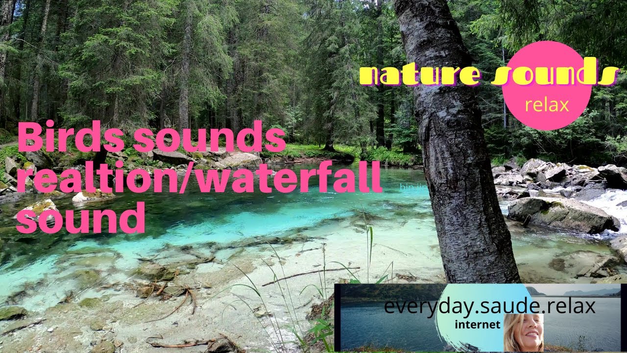 TIC-TOC Birds sounds relaxation/waterfall sound nature sounds EVERYDAY ...