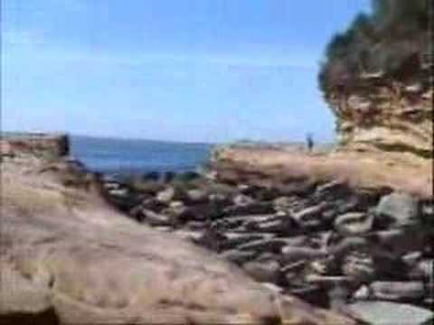 Avoca Beach The Rock Pools - YouTube