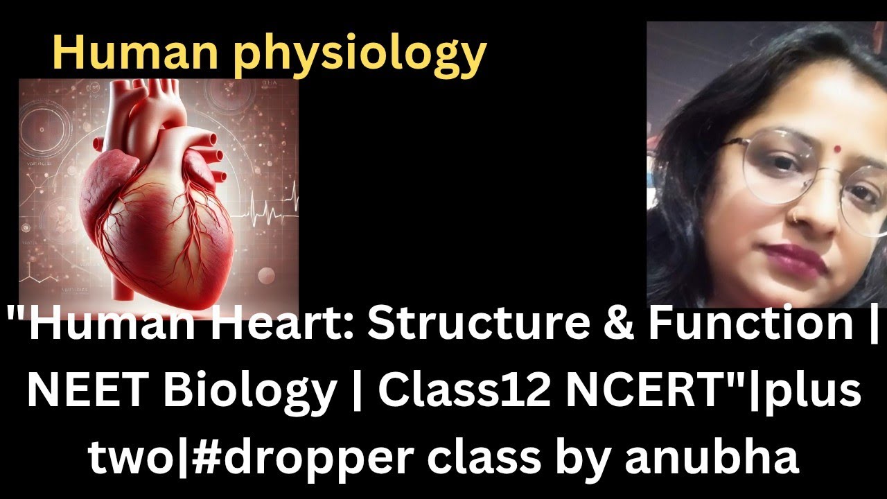 "Human Heart: Structure & Function | NEET Biology | Class12 NCERT"|plus ...