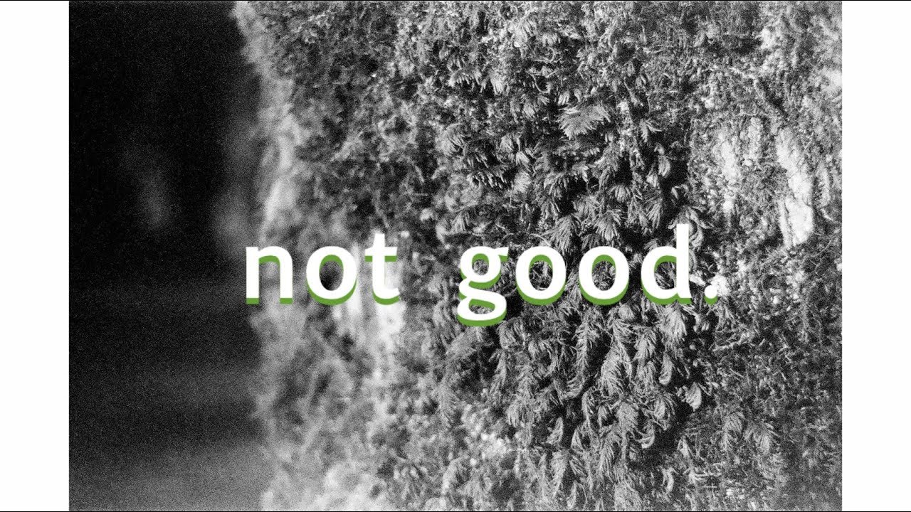 A Photowalk with a Weird Film Camera and a not so great Photographer ...