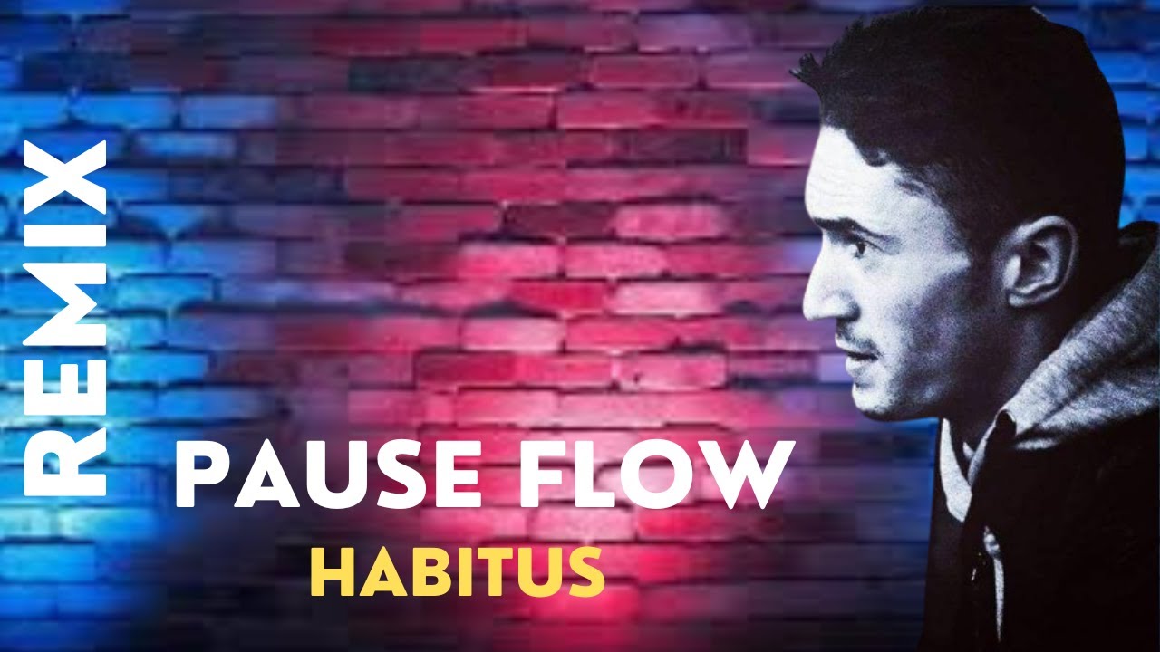 PAUSE FLOW - HABITUS (Remix by @KRAM_EDITION ) - YouTube