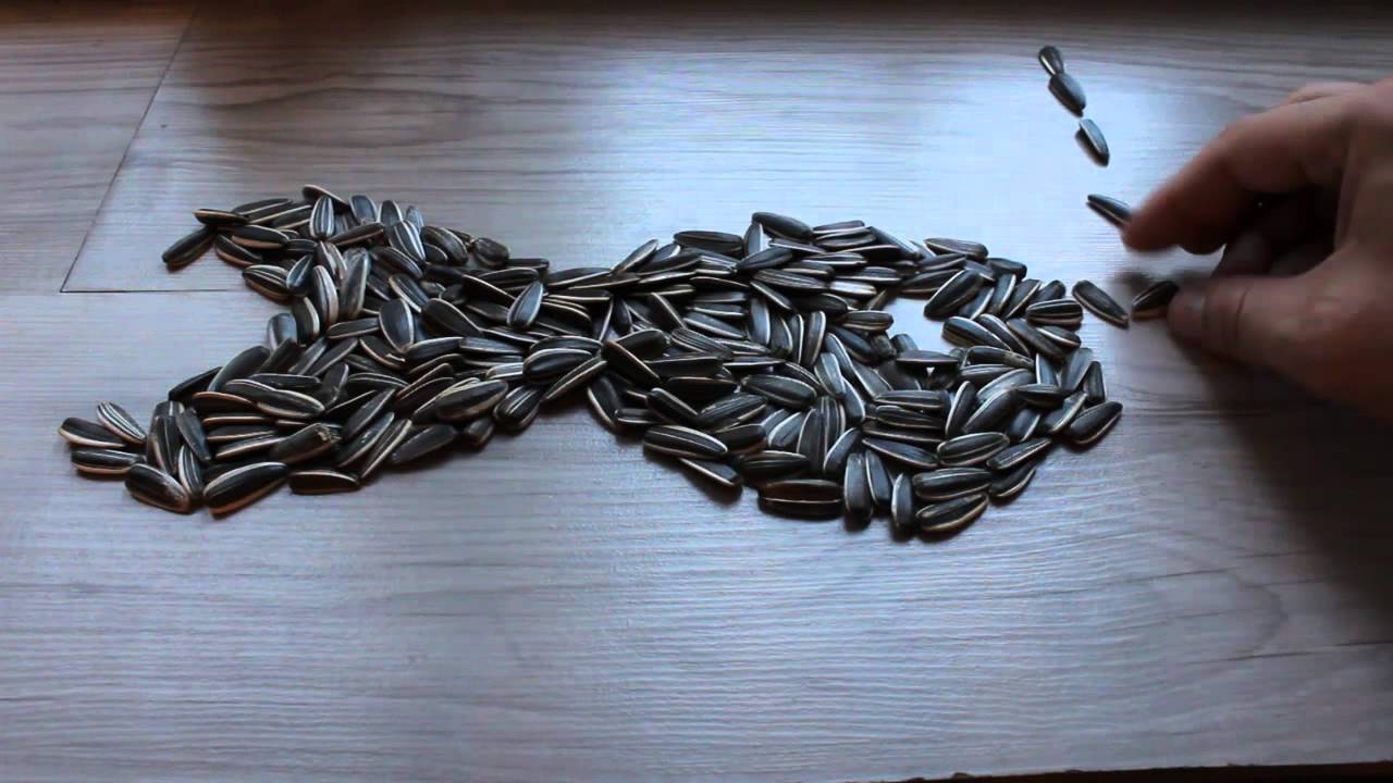 Stop Motion Tutorial How To Make Stop Motion Animation HD YouTube stop-motion-tutorial-how-to-make-stop-motion-animation-hd-youtube