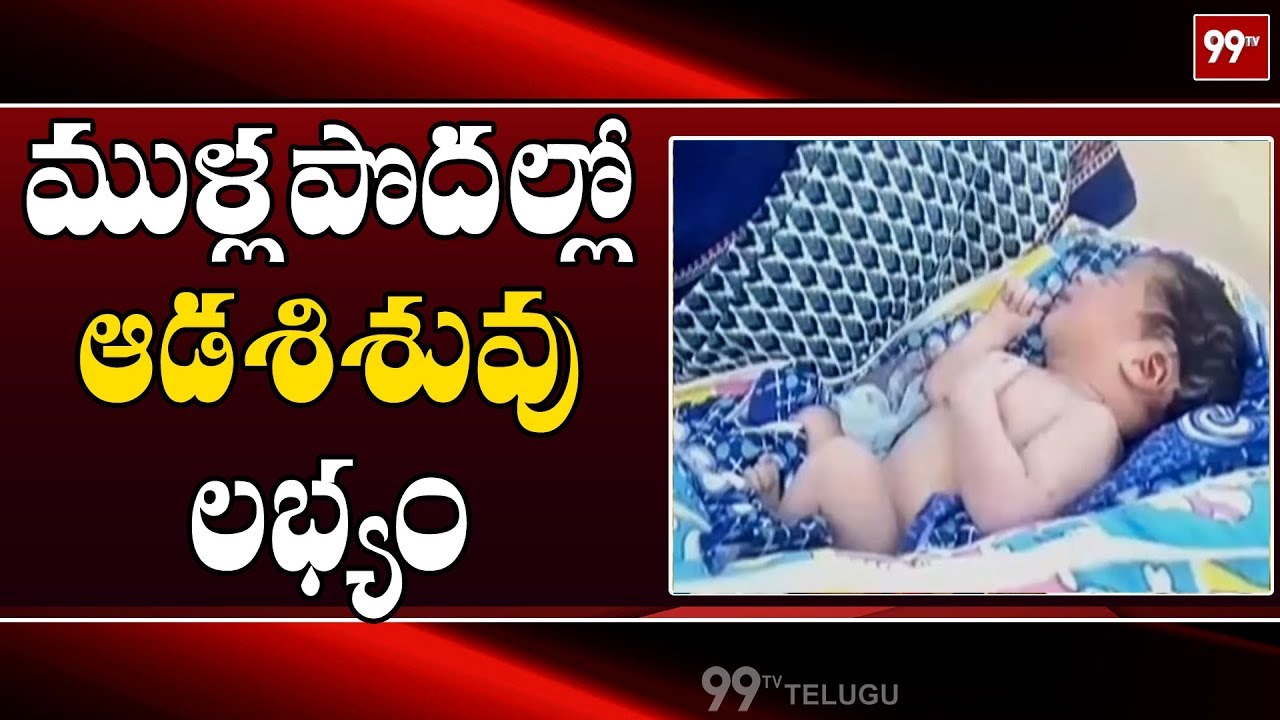 ముళ్లపొదల్లో ఆడశిశువు లభ్యం | Newborn Baby In Thorns At Kurnool | 99TV ...