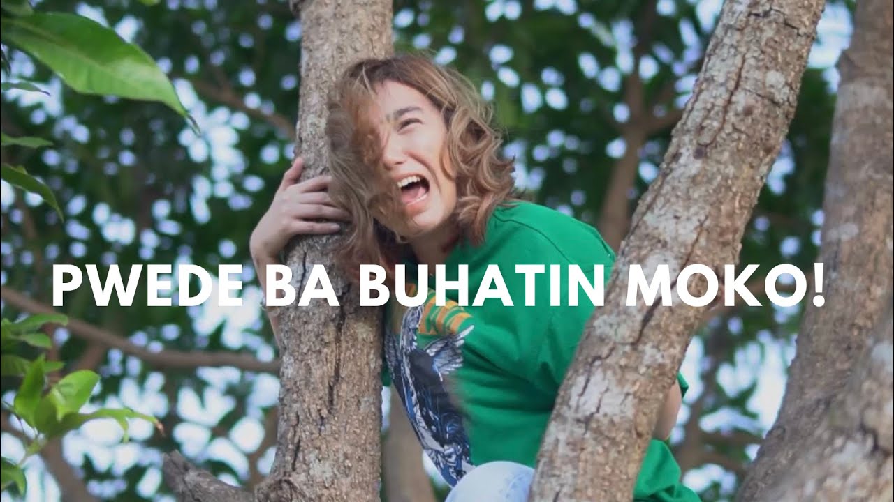 PROVINCE LIFE - YouTube