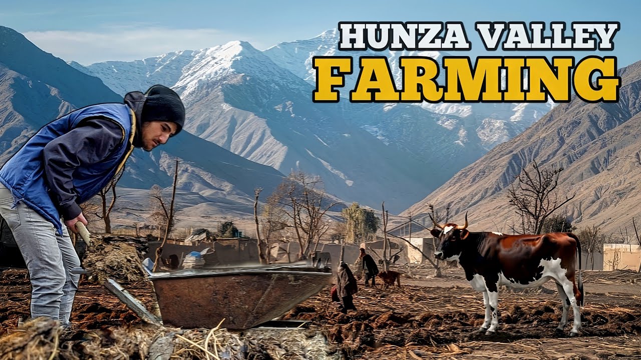 HUNZA VALLEY FARMING START || MOST BEAUTIFUL PLACE IN WORLD - YouTube