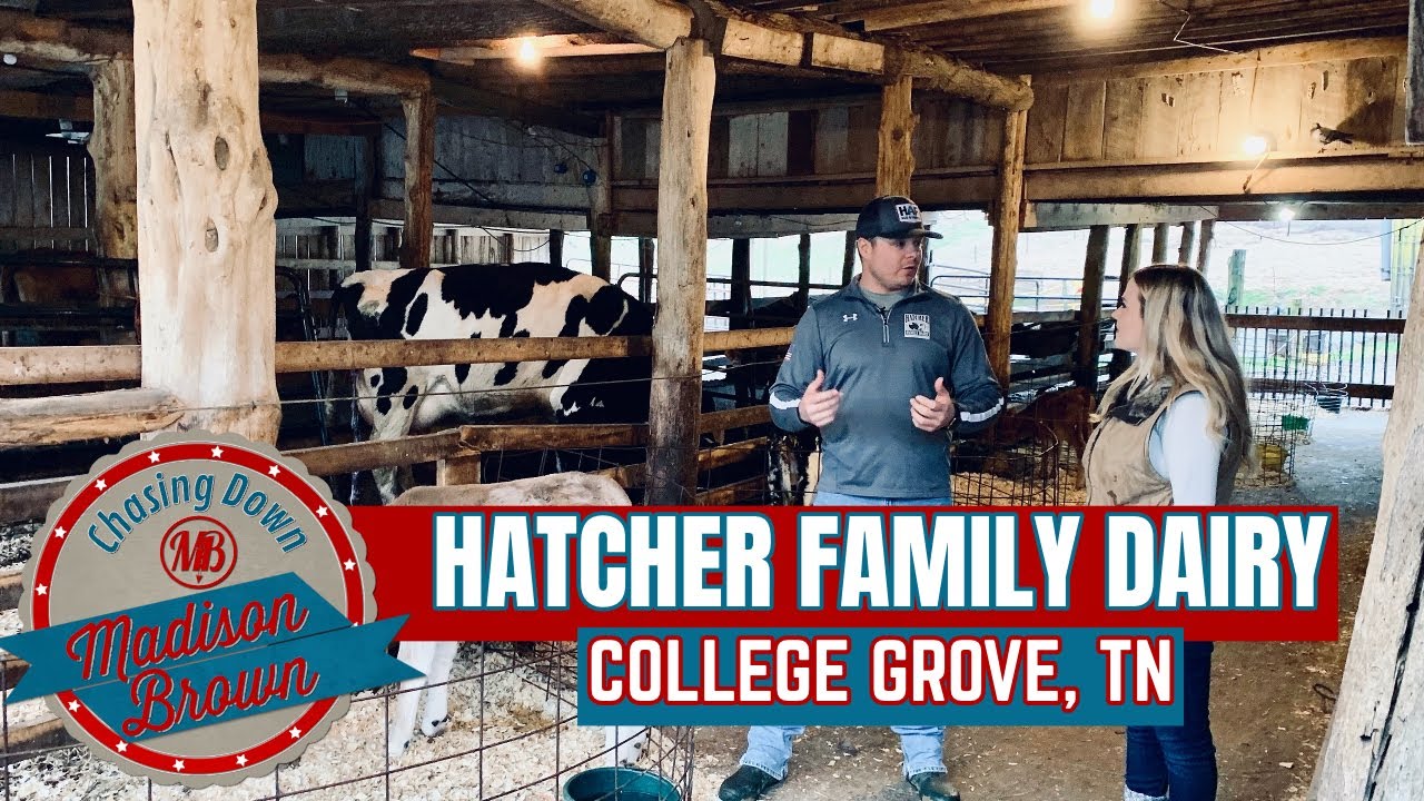 Chasing Down Madison Brown: Hatcher Family Dairy (College Grove, TN ...