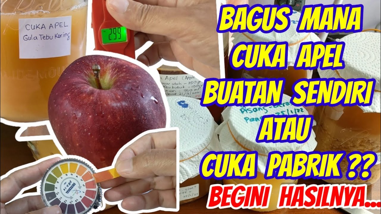 Mau Tahu Berapa PH Cuka Apel dan Eco Enzyme Buatan Kita? Simak Videonya ...